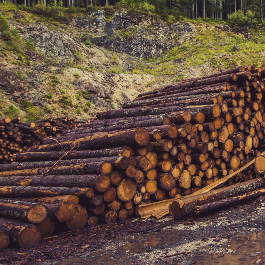 Timber Merchants - N.G. Bell & Son - Northern Ireland